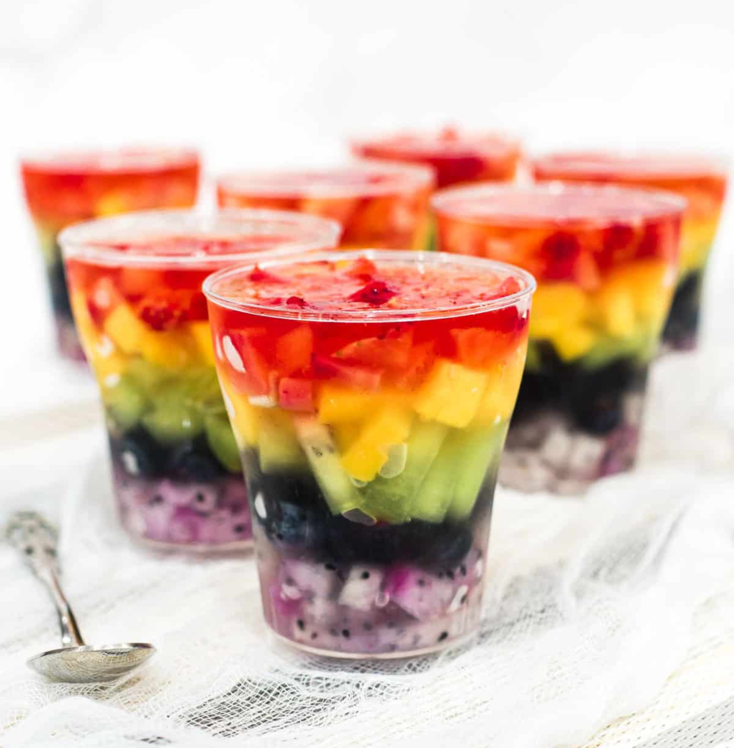 Fruity Gelatin – Echo Hill Country Store